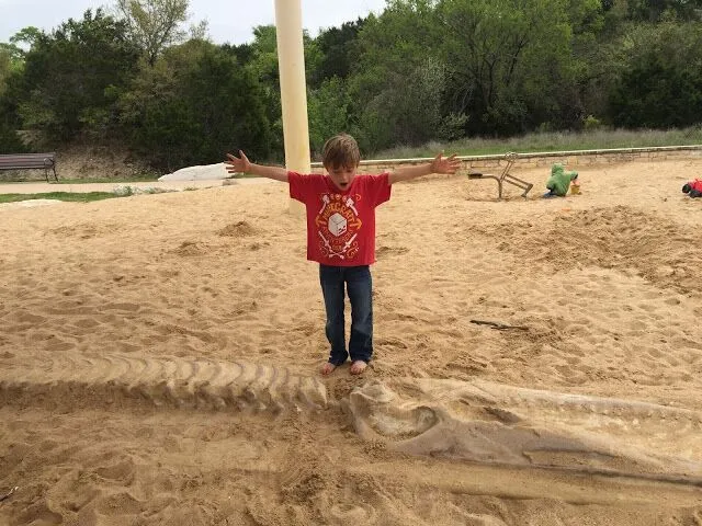 Top 6 Parks in Round Rock, Texas for Children: Playgrounds & Playscapes