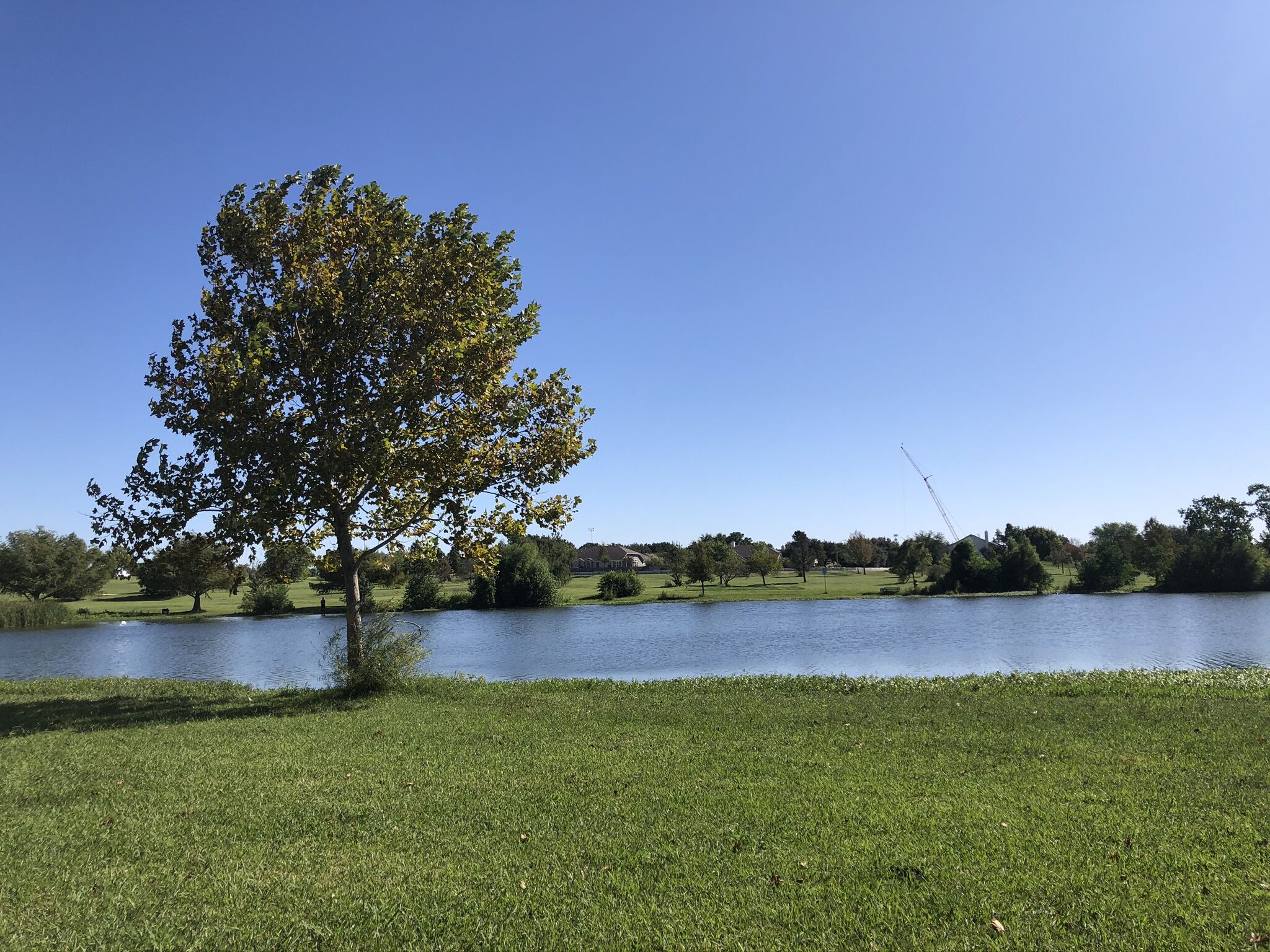 10 Places to Picnic in Round Rock - Round the Rock