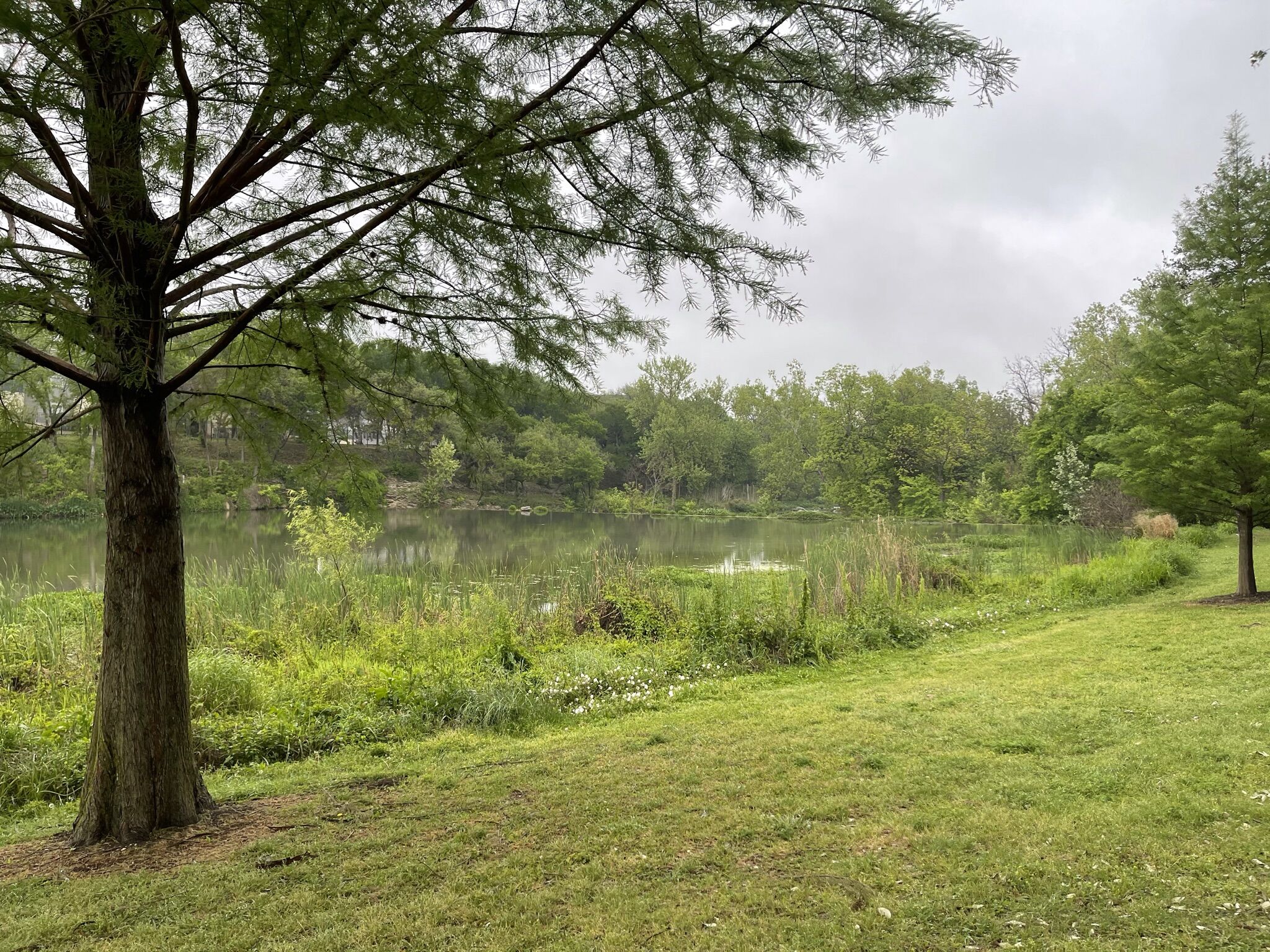 10 Places to Picnic in Round Rock - Round the Rock
