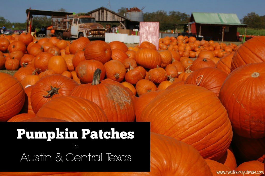 Round Rock Fall Guide: 101+ Fun Things to Do in Round Rock this Fall