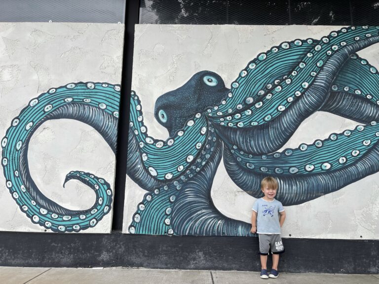 Make Your Instagram Pop with These 13 Round Rock Murals - Round the Rock